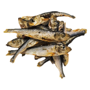 Fish - theyloveit.co.uk